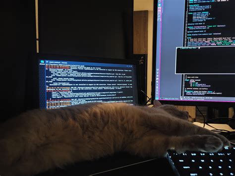 Programmer Burn Out He Works Until He Falls Asleep Every Night R Catswithjobs