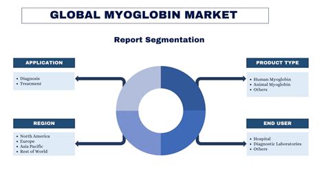 Myoglobin Market Size Share Growth Trends And Forecast To 2030