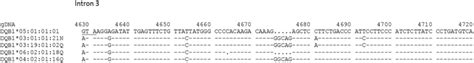 Partial Nucleotide Sequence Alignment Of The Intron 3 Sequences Of The