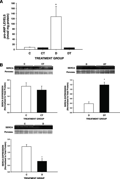A Pro Anp Levels In Whole Tissue Homogenates Data Are Means Se Data