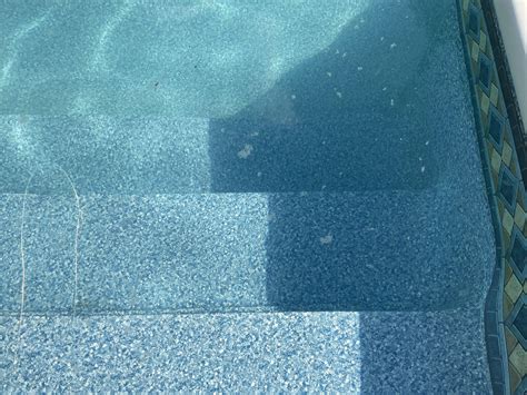 Does Anyone Know Whats Floating Here R Pools