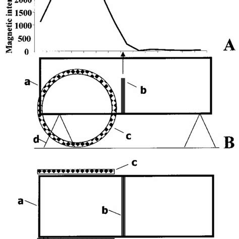 Pdf Effect Of Electromagnetic Fields On Marine Organisms