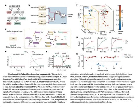 Is Dna Based Computing The Future Of Our Digital World Sify