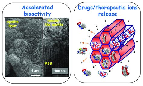 Main Properties Of Mesoporous Bioactive Glasses Mbgs Left Improved Download Scientific