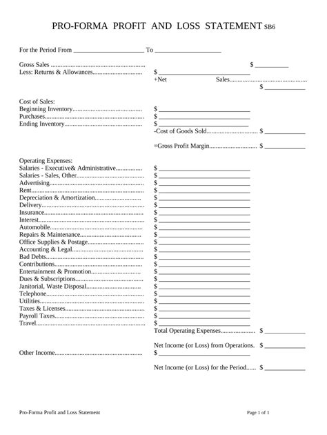 Pro Forma Profit And Loss Statement Sb6 Blank Fillable Template