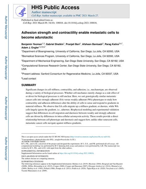 Pdf Adhesion Strength And Contractility Enable Metastatic Cells To Become Adurotactic
