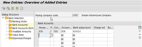 Automatic Payment Program Use In General Installm Sap Community