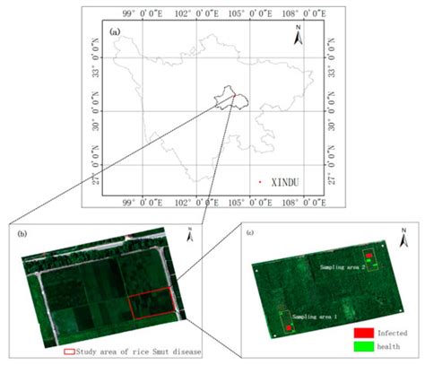 Rice False Smut Monitoring Based On Band Selection Of Uav Hyperspectral