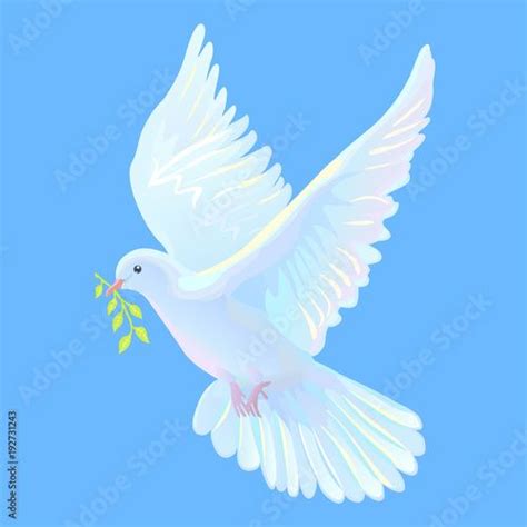 White Dove Symbol Of Peace In Blue Sky