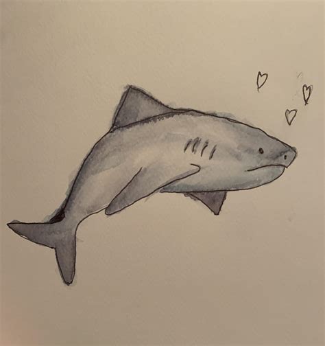 How To Draw A Cute Great White Shark