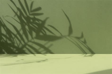 화장품의 프리젠테이션을 위한 최소한의 추상적 배경 녹색 배경에 열대 야자수 잎의 그림자가 있는 프리미엄 빈 연단 진열장 진열장 강단에 대한 스톡 사진 및 기타 이미지