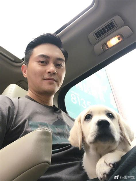 张智霖 高清图片堆糖美图壁纸兴趣社区