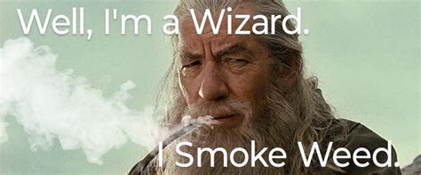 The Best Wizard Memes Memedroid