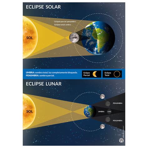 5º Básico Y Más · Masterwise