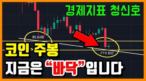 비트코인 주봉 바닥 10원대 코인부터 올라 갑니다 Youtube