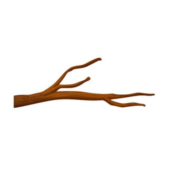 Сухая ветка ПНГ на Прозрачном Фоне • Скачать PNG Сухая ветка