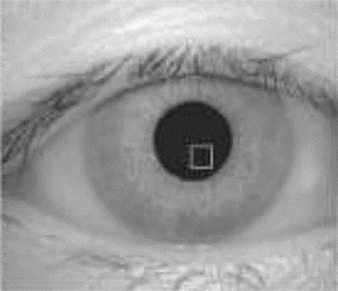 Binarization Using Adaptive Threshold 2 Download Scientific Diagram