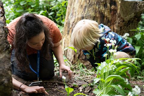 Tree Tots Babe Group Terrington Hall