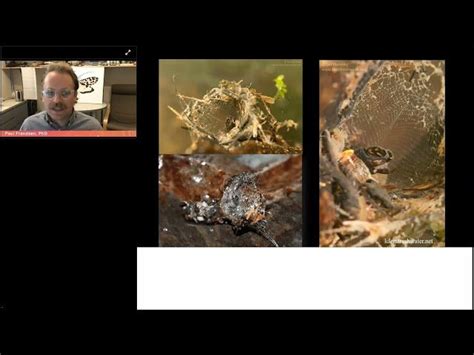 Free Video Hanging By A Thread Using High Fidelity Long Read Sequencing To Uncover The Genomic