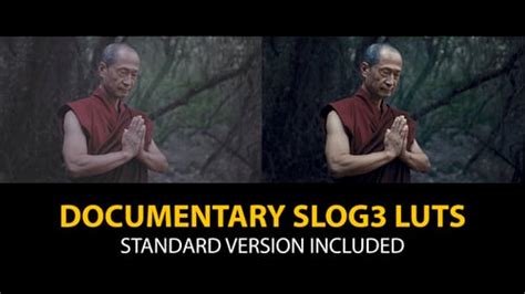 Slog3 Documentary Luts Luts Ft Lut Vlog And Slog3 Lut Envato
