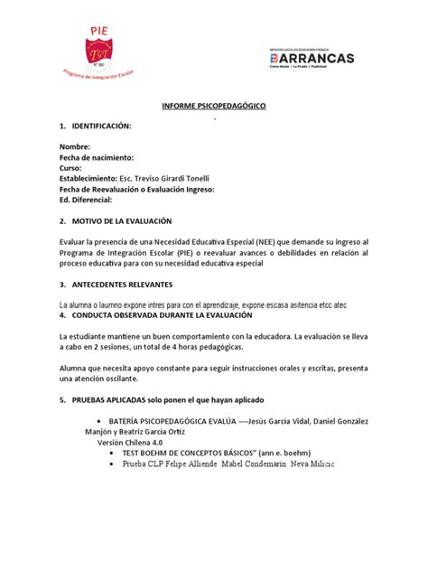 Informe Psicopedagogico Actualizado Pdf Aprendizaje Experiencia