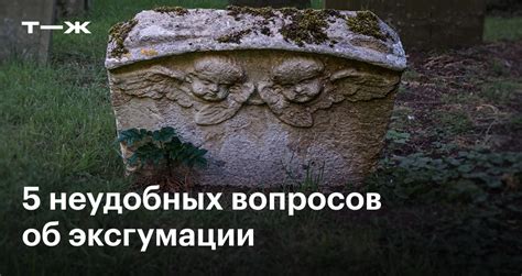 Эксгумация что это зачем нужна документы для проведения процедуры стоимость