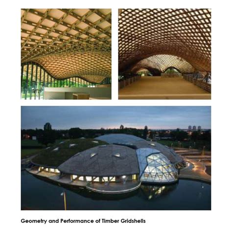 Timber Gridshells Parametric House