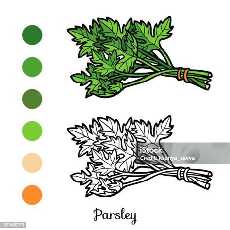 สมุดระบายสี ผักชีฝรั่ง ภาพประกอบสต็อก ดาวน์โหลดรูปภาพตอนนี้ กระดาษ