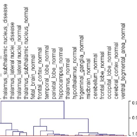 Hierarchical Clustering Of The Brain Tissue Networks Using Graphlet Download Scientific Diagram