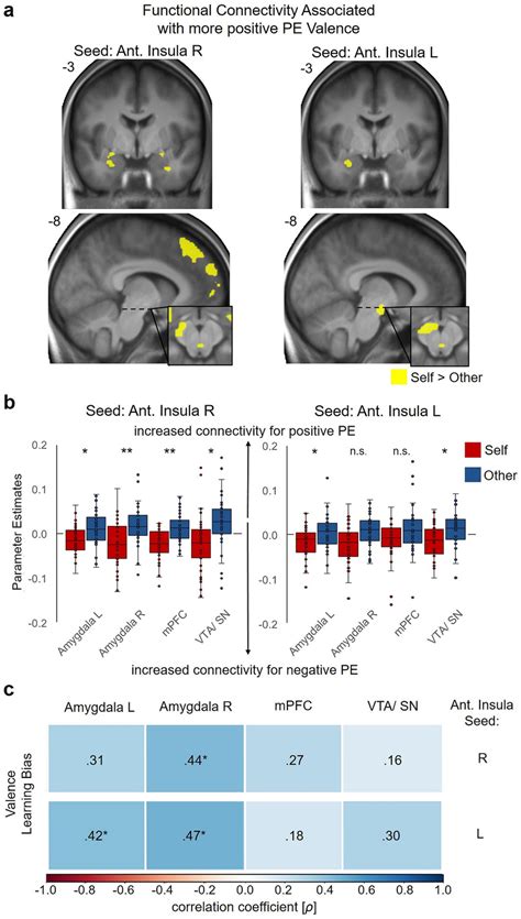 Differences In Functional Connectivity Of The Dorsal Anterior Insula