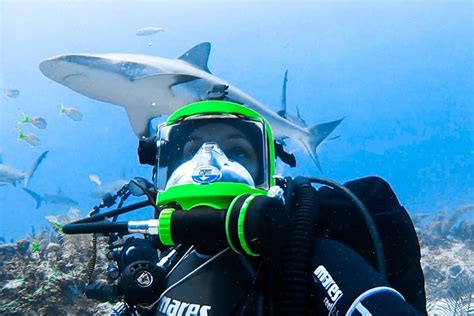 Guardian Full Face Masks For Thrilling Shark Diving At Tiger Beach The
