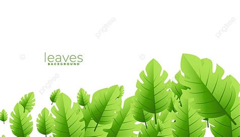 열대 이국적인 녹색 잎 배경 디자인 템플릿 Psd 다운로드 디자인 자료 다운로드