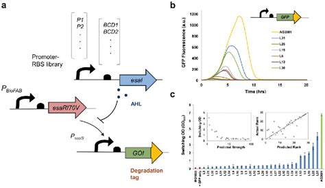 Figure 1 From Mit Open Access Semantic Scholar