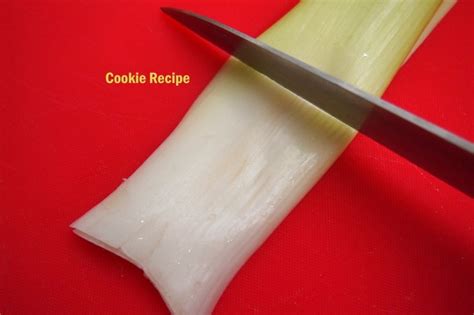 파를 곁들인 중국식 닭고기 냉채