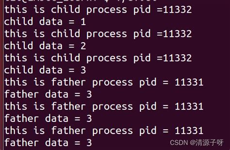 Linux 进程 Vfork与fork区别