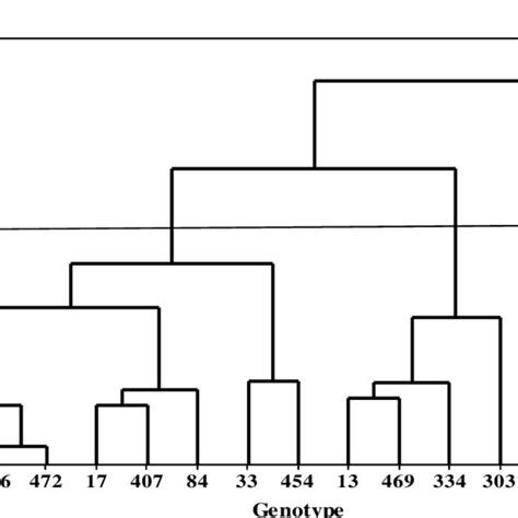 dendrogram of 15 lentil genotypes revealed by ward cluster analysis