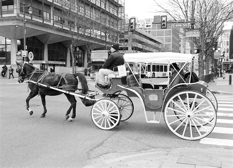 무료 이미지 경치 검정색과 흰색 건축물 카트 건물 시티 도시의 도시 풍경 도심 풍경화 단색화 관광 여행 펜실베니아 마차 마부 육상 차량 흑백