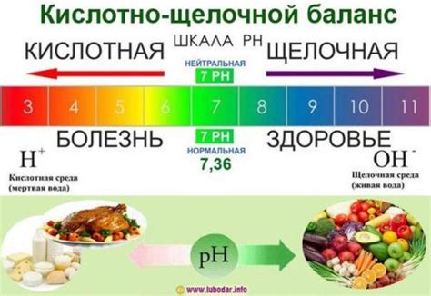 Что такое pH | Здоровье человека