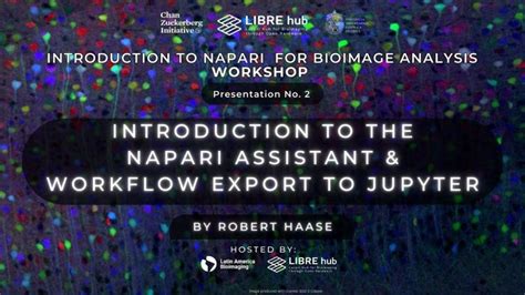 Tobias Wenzel On Linkedin Introduction To The Napari Assistant