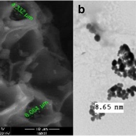 A Sem Of Iuac At 6000 Mag 1500 Kv B Tem Of Iuac Download