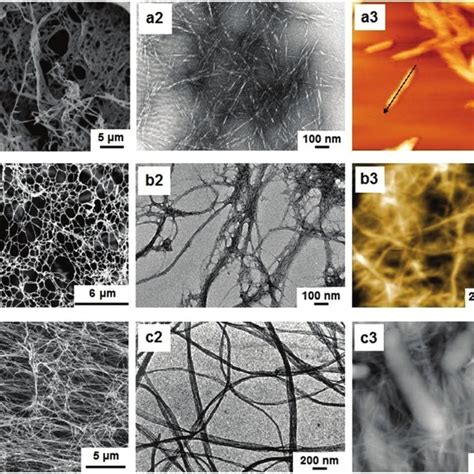 Pdf Nanocellulose As Sustainable Biomass Material Structure Properties Present Status And