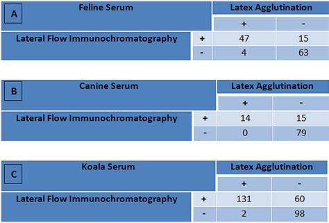 Latex Cryptococcal Antigen Agglutination Test And Cryptococcal Antigen Download Scientific