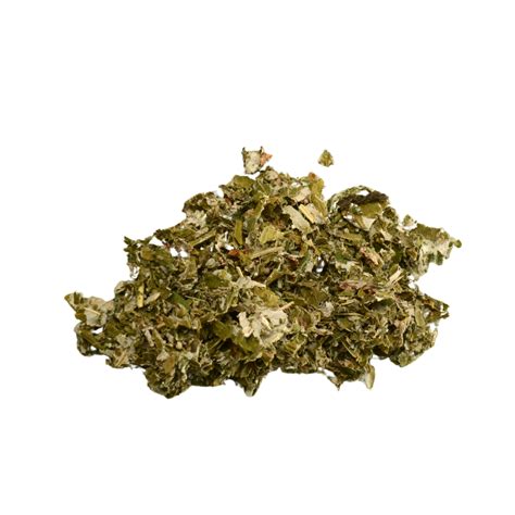 Red Raspberry Leaf The Herbal Scoop