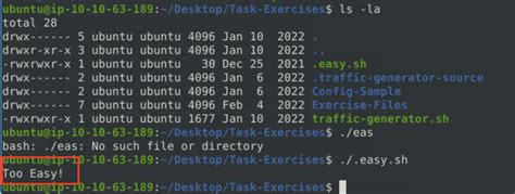 Tryhackme Walkthrough Snort Network Security And Traffic Analysis