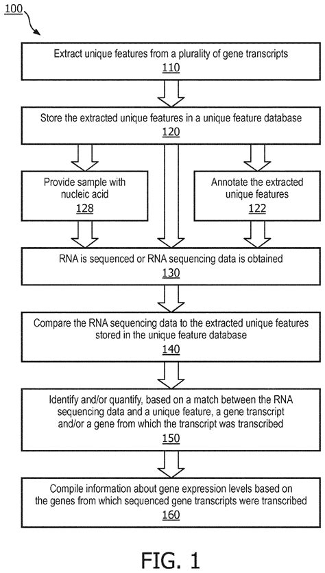 System And Method Using Local Unique Features To Interpret Transcript