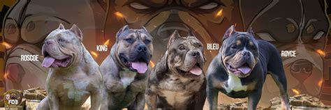 Bishop Phillip Wright Bishop Phillip Wright Legacy