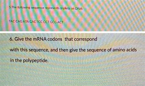 5the Following Sequence Represerits Triplets On Dna Tac Cag Ata Cactcc Cct Gcg Act 6 Give The
