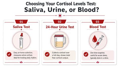Cortisol Levels Test Your Comprehensive Uk Guide