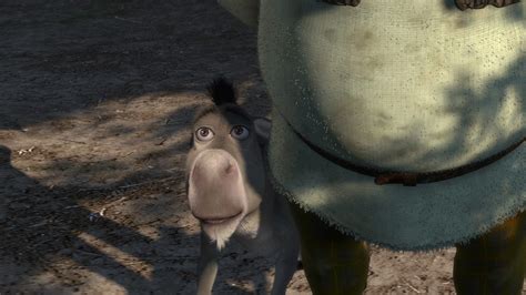 Times Shrek And Donkey Perfectly Captured A Night Out With Your Bff