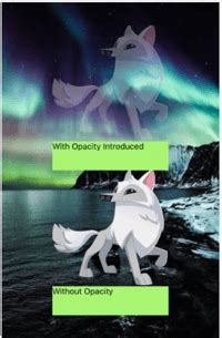 React Native Opacity Learn The Examples Of React Native Opacity
